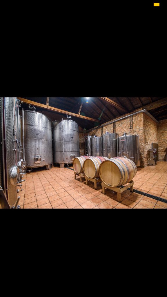 OLIVER MANDARIĆ (Vinarija Rubis) – Nositelj crnog pojasa peti dan koji ...