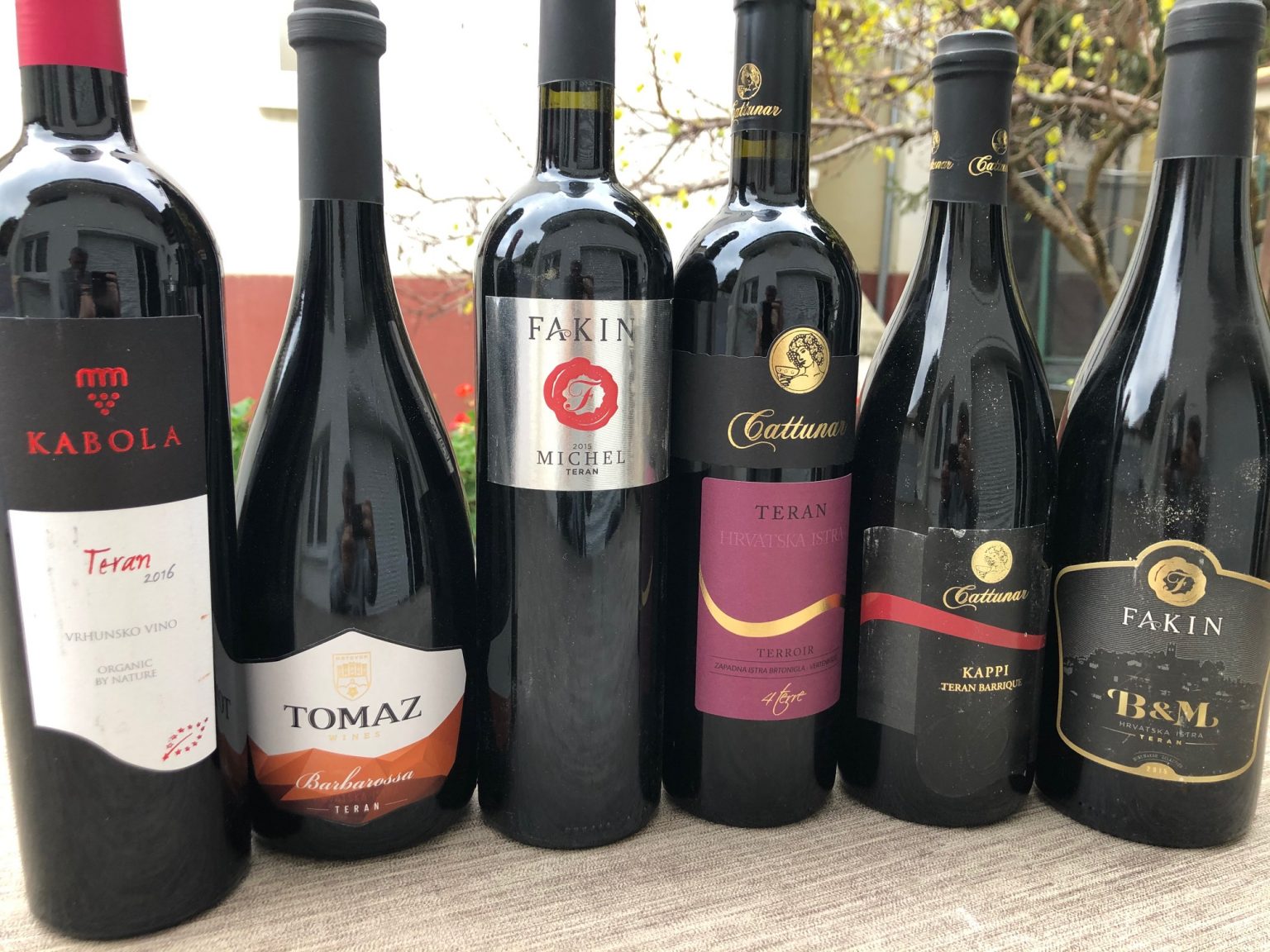 Teran je Istrijan, ali i svjetsko vrhunsko vino! | Vinske priče Željka ...